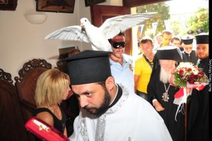 Miraculous Dove Blesses the Gospel and the Shepherd – The Voice Blog